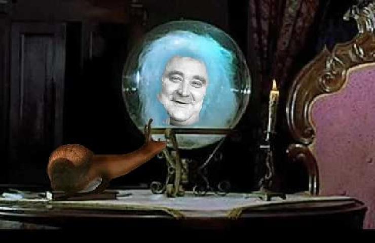 Pat The Psychic Snail – STEVENBROOME